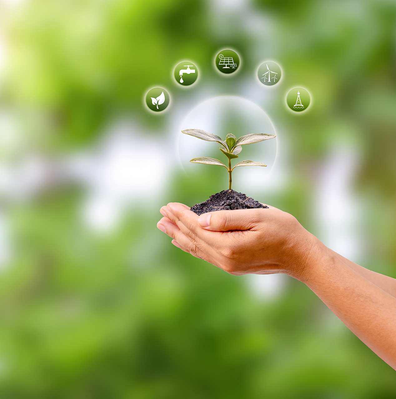 Our Ethos - Gowra Ventures